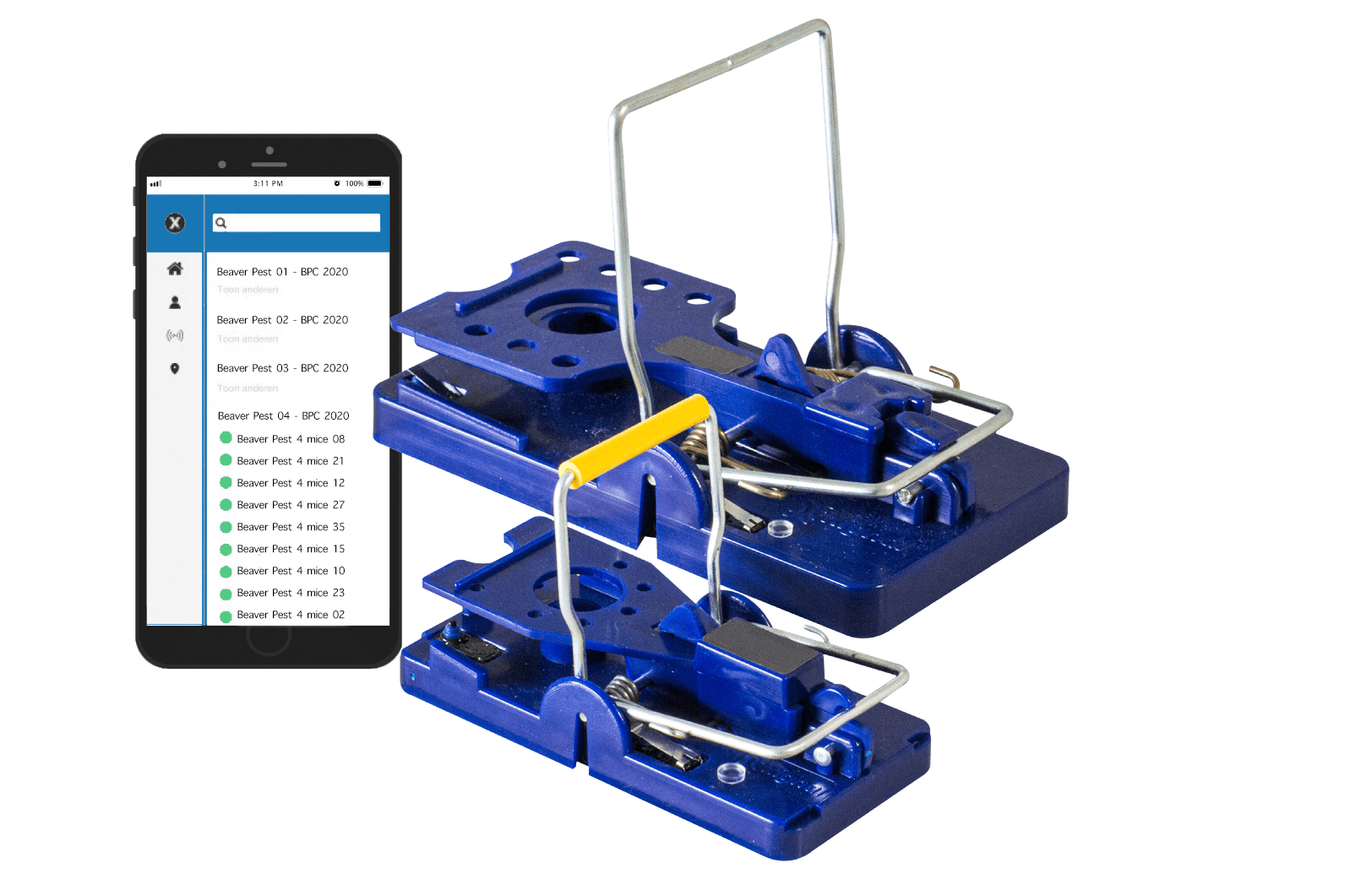 How to get rid of mice? 7 Step Guide - Beaver Pest Control