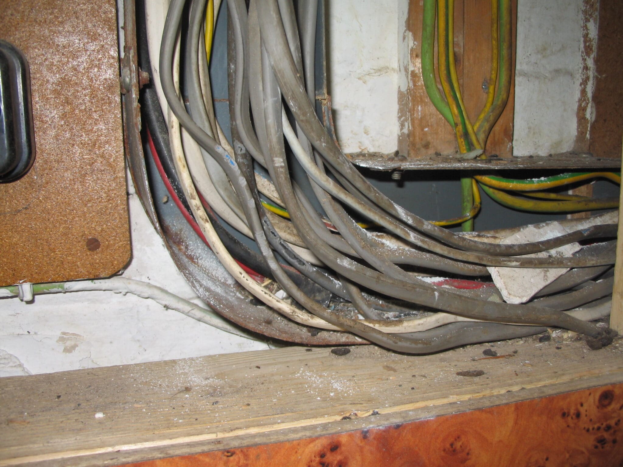 Signs of a Rat Infestation: How to Identify Baby Rats and Other Clues ...